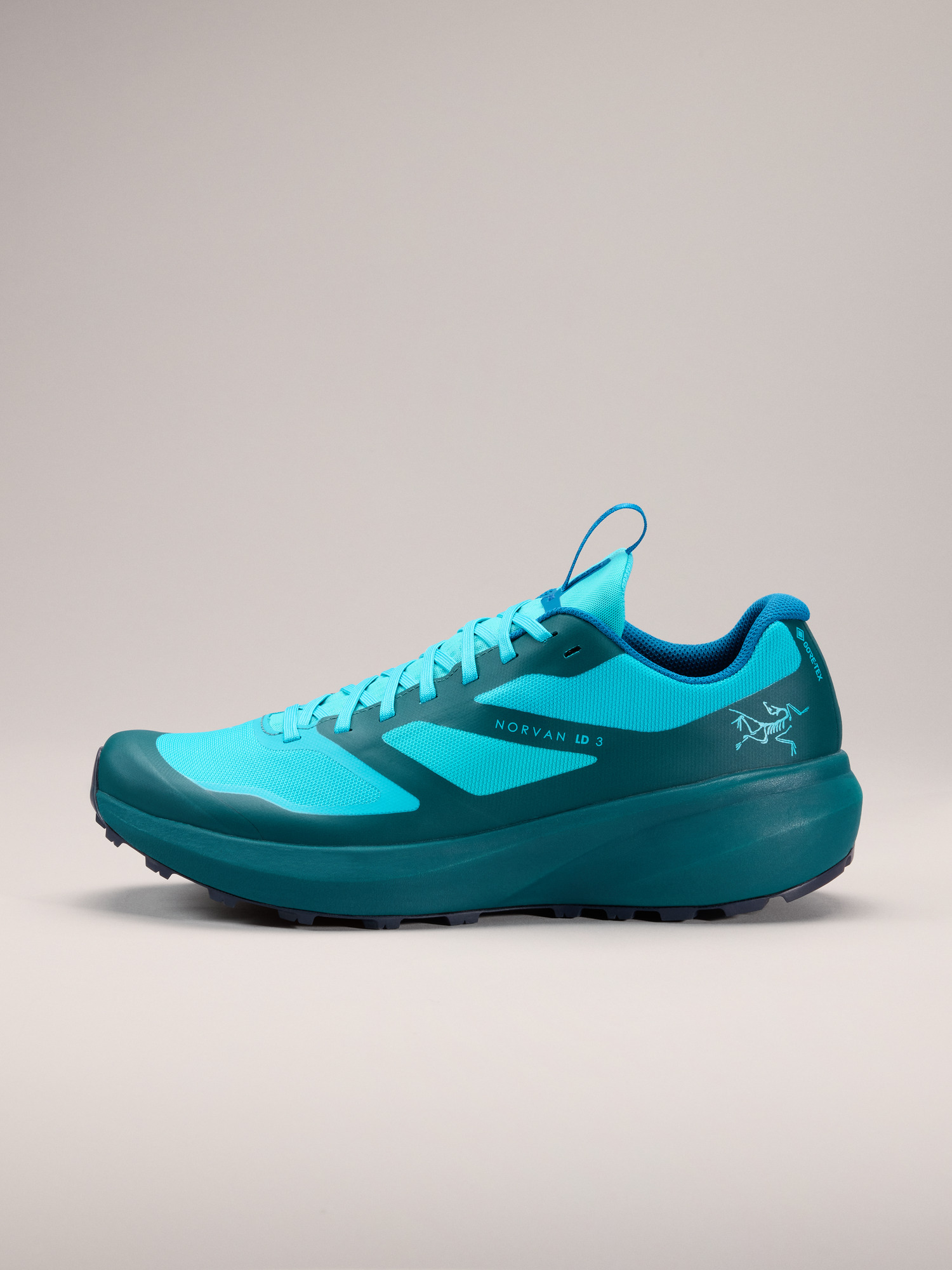 Norvan LD 3 GTX Shoe | Arc'teryx