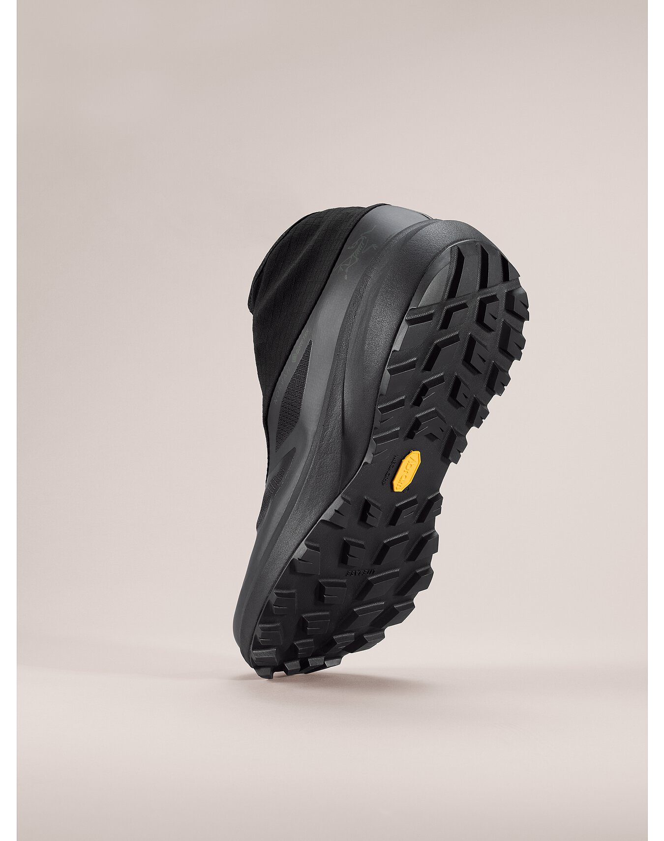 Norvan Nivalis GTX Shoe | Arc'teryx