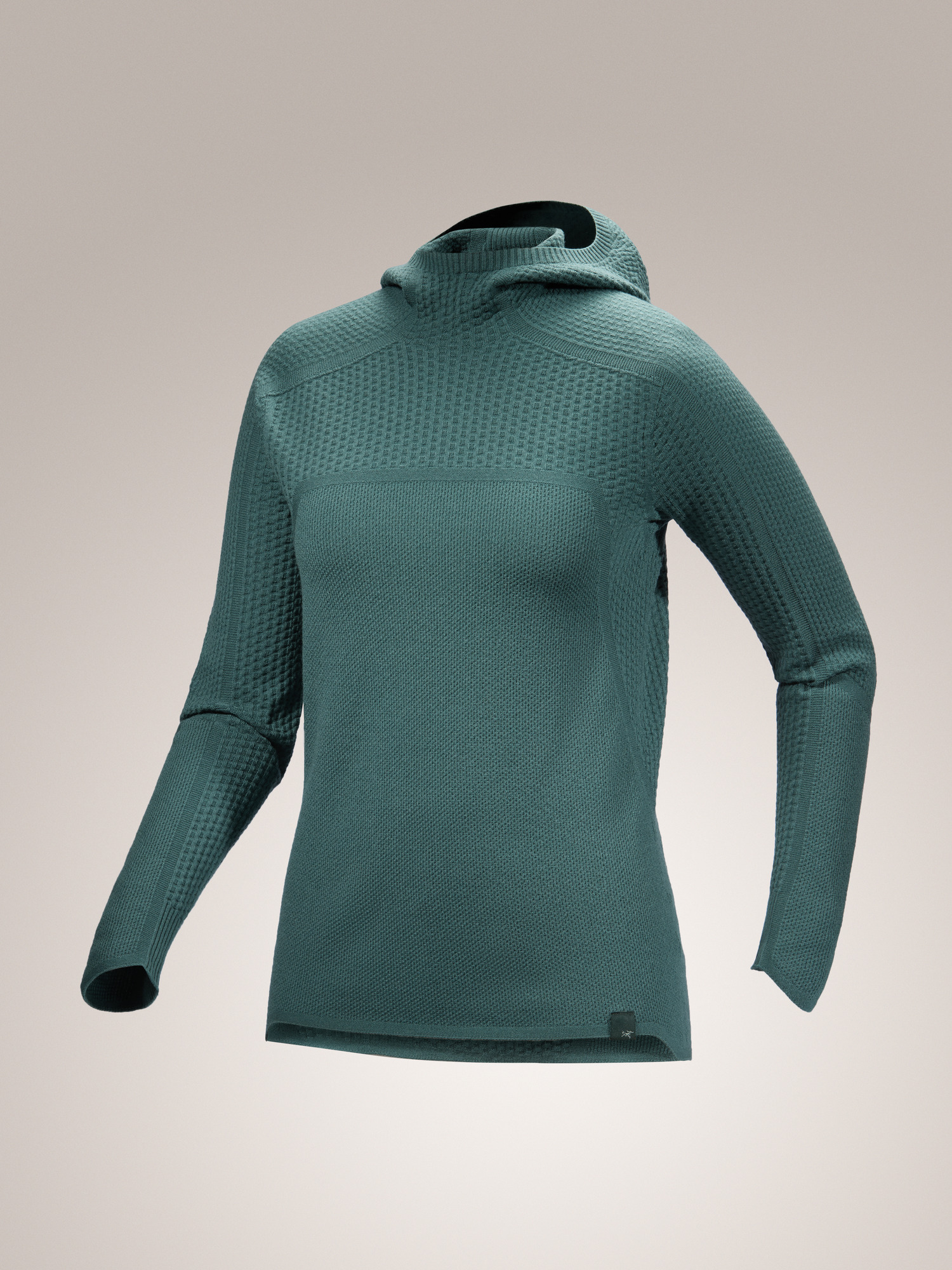 Hallam Merino Wool Hoody Women's | Arc'teryx