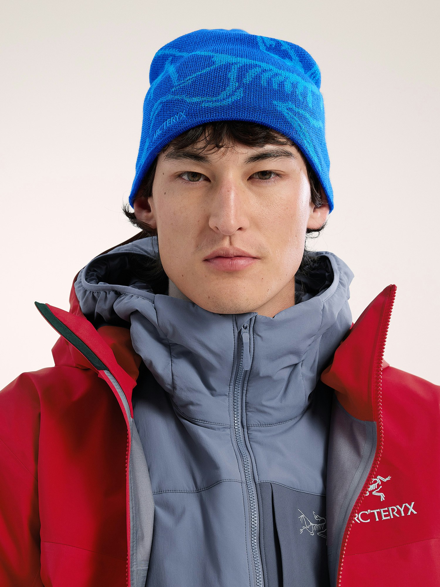 Bird Head Toque | Arc'teryx