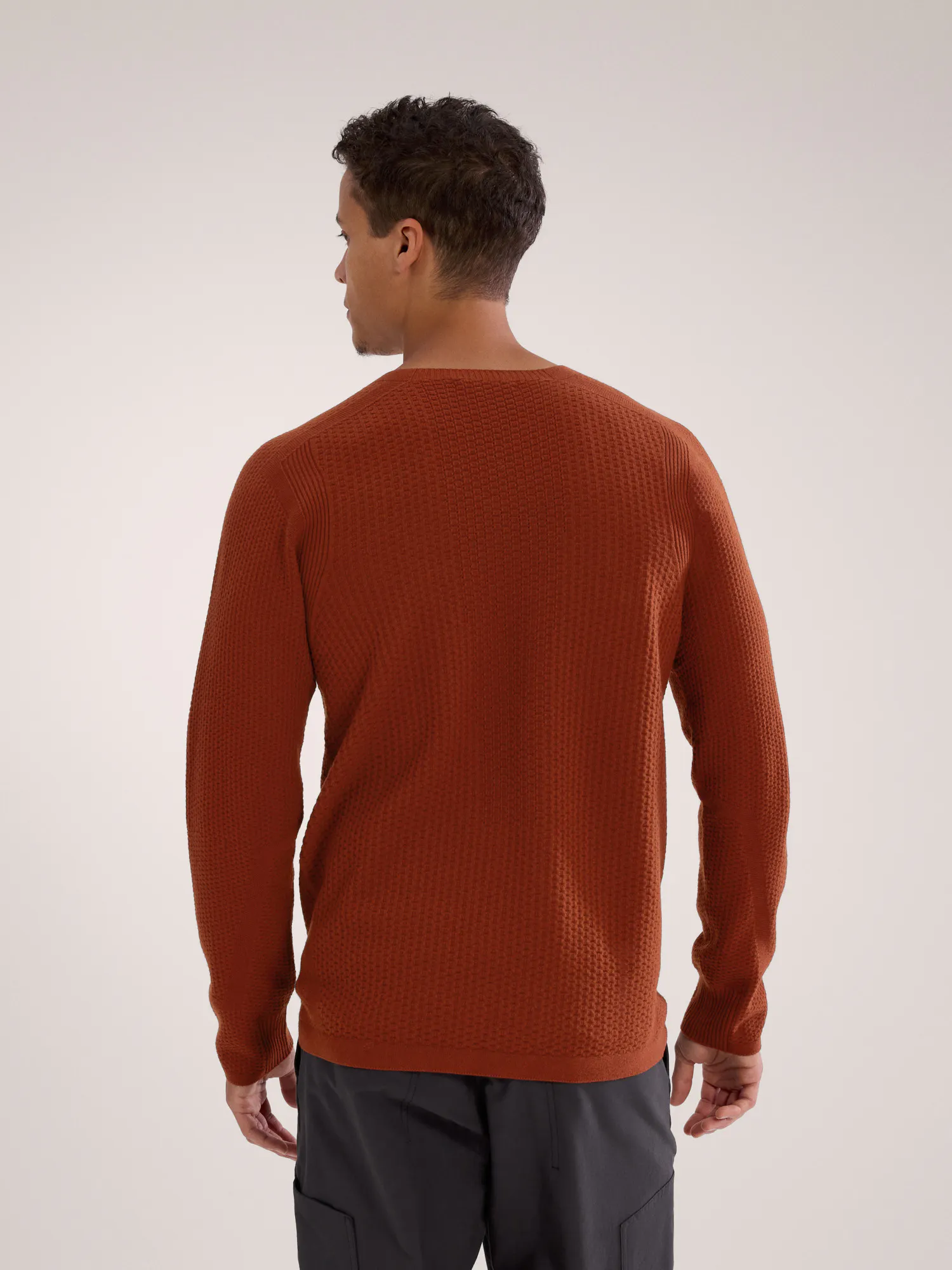 Hallam Merino Wool Crew Neck Men's | Arc'teryx