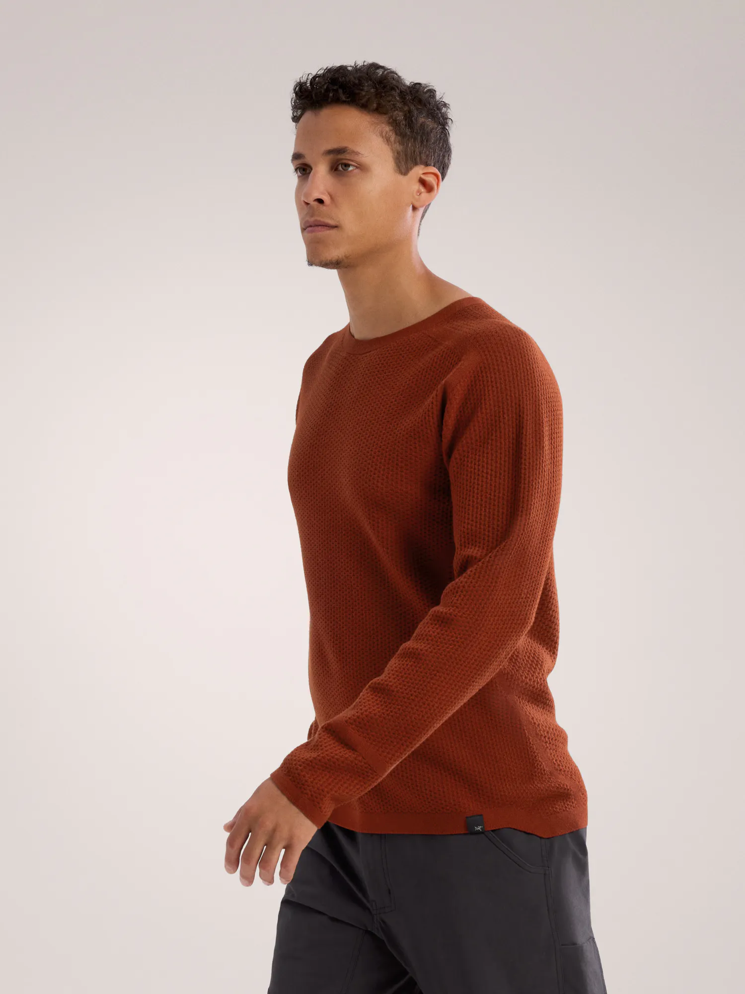 Hallam Merino Wool Crew Neck Men's | Arc'teryx