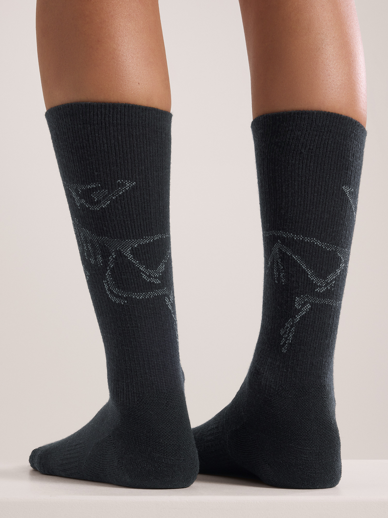 Merino Wool Mid Bird Sock | Arc'teryx