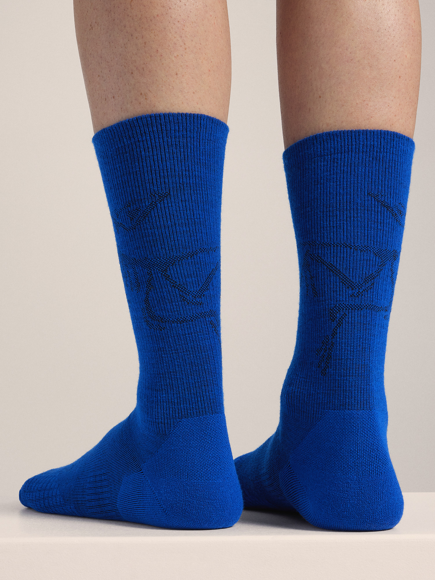 Merino Wool Mid Bird Sock | Arc'teryx