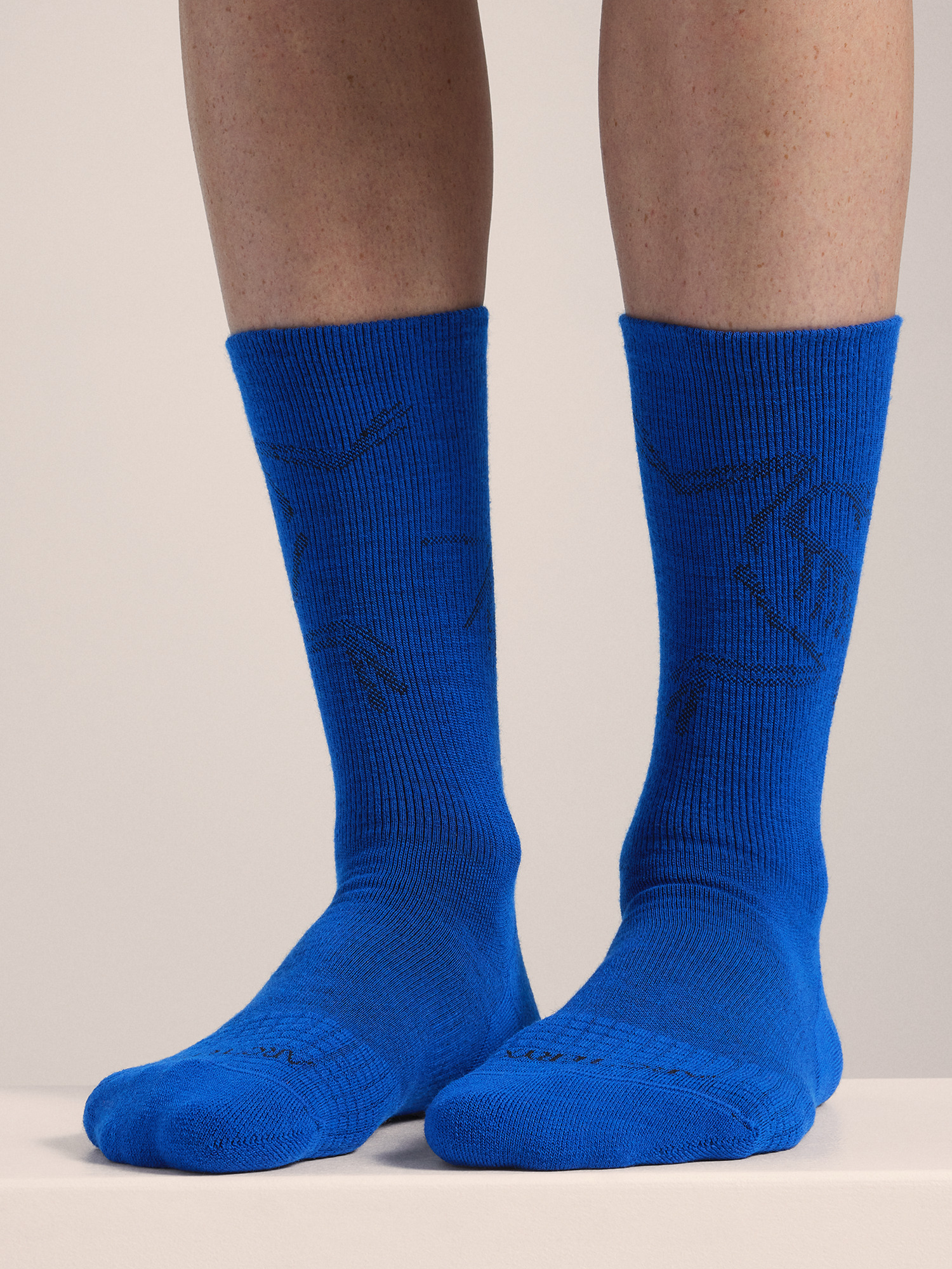 Merino Wool Mid Bird Sock | Arc'teryx