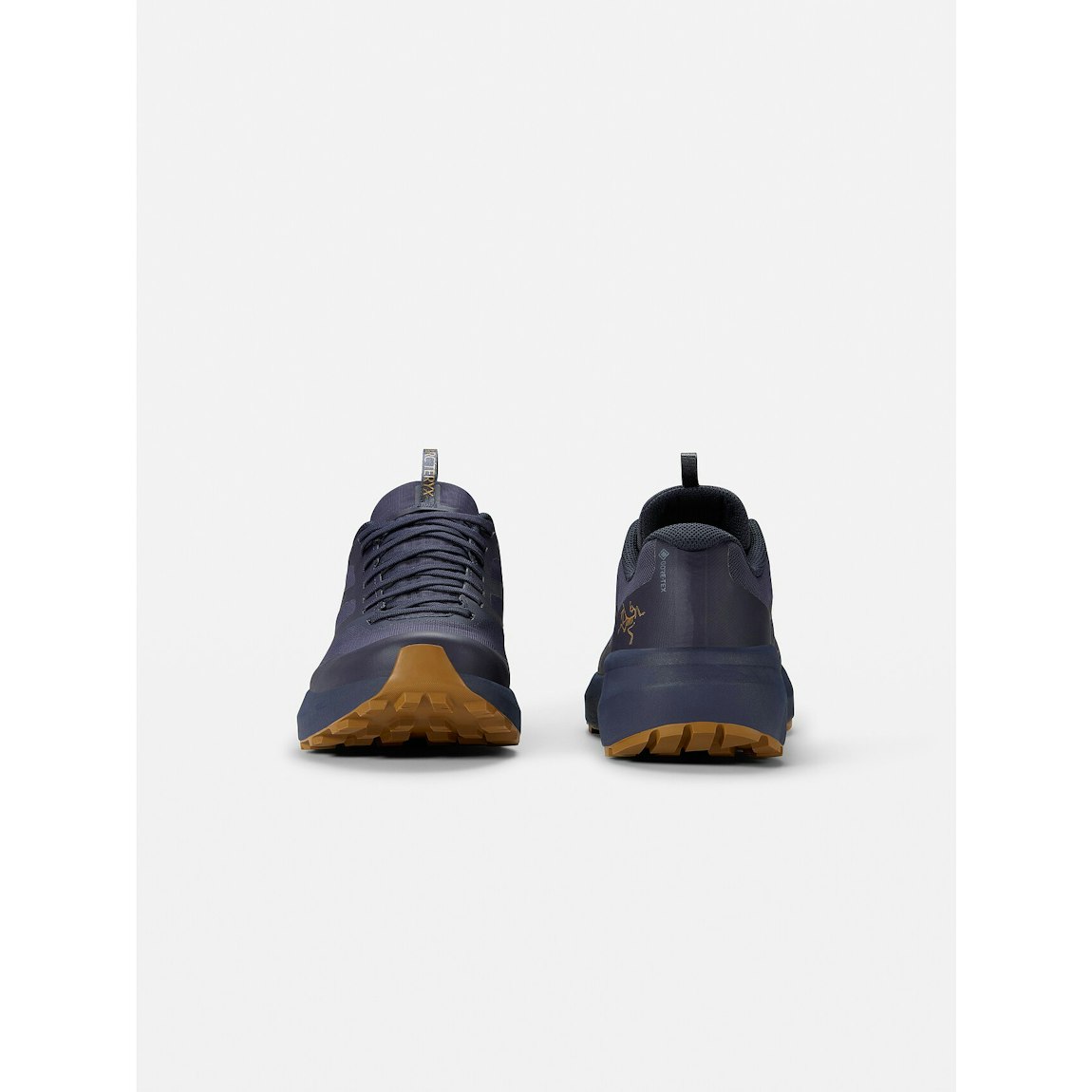 Norvan Ld 3 Gtx Shoe Arcteryx