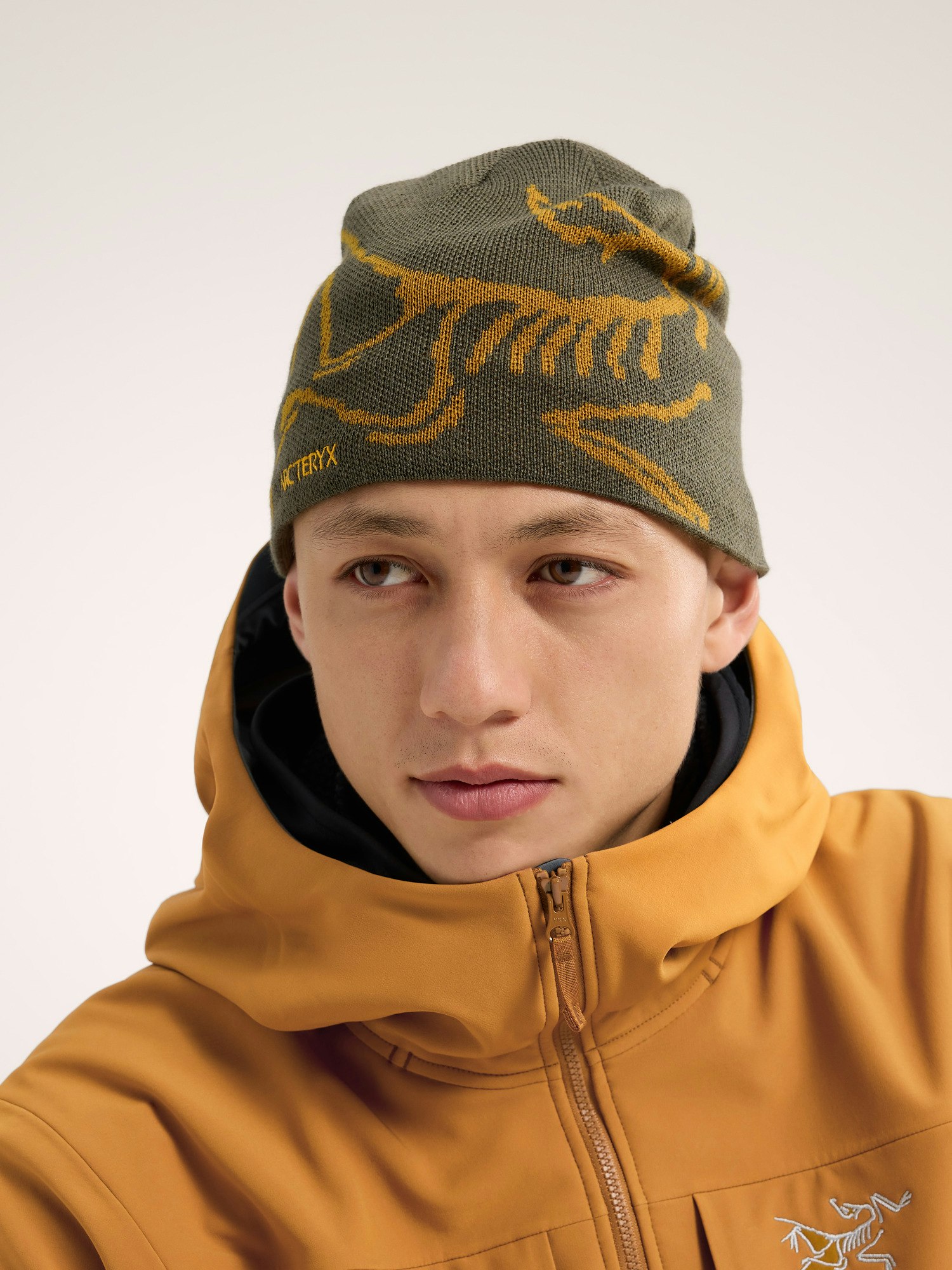 Bird Head Toque | Arc'teryx