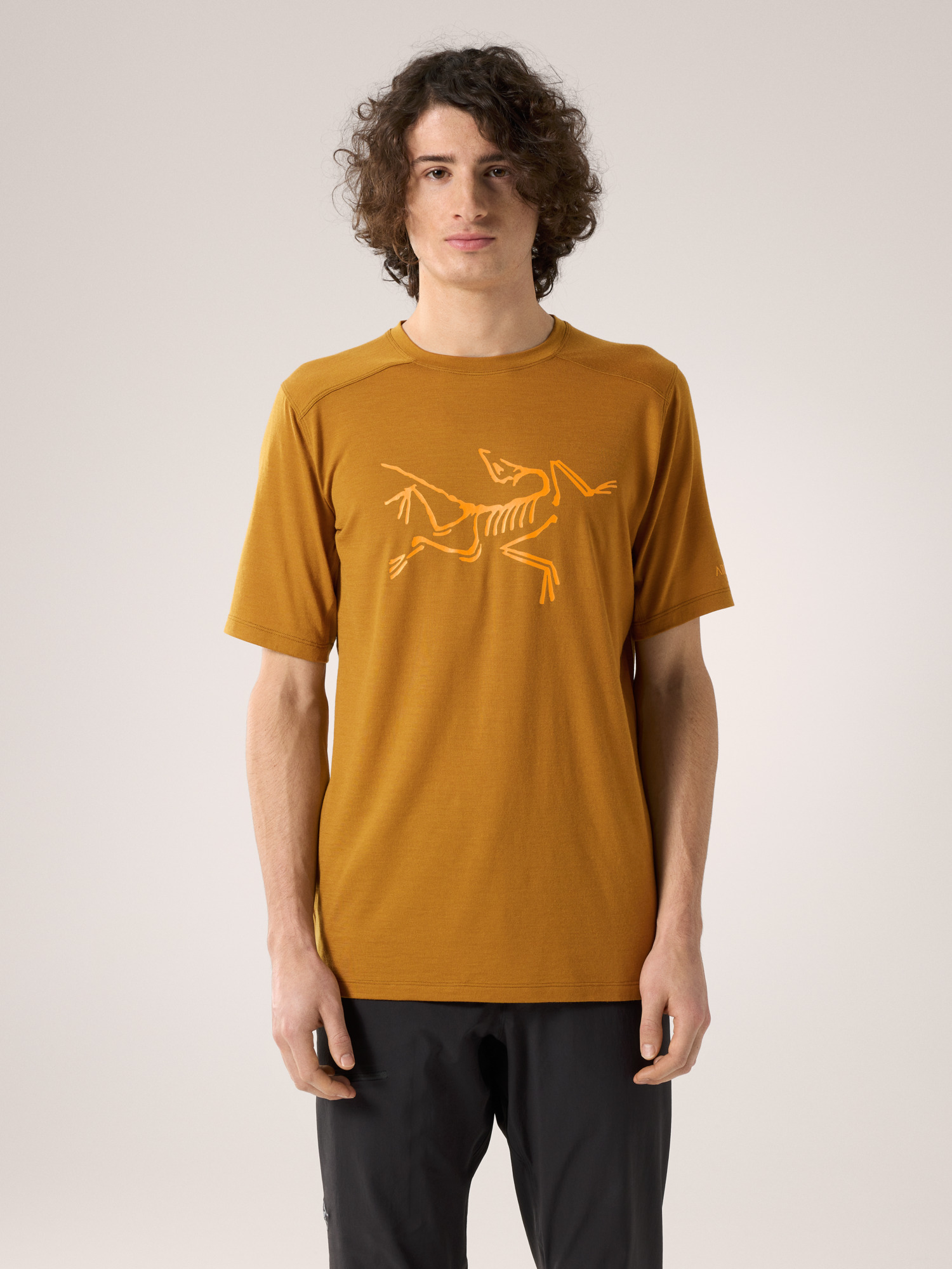 Ionia Merino Wool Logo Shirt SS Men's | Arc'teryx