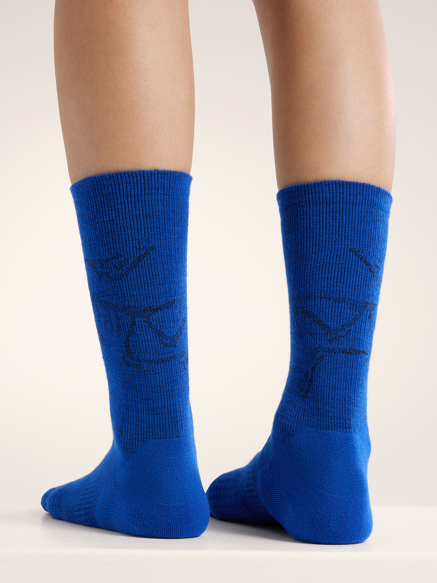 Merino Wool Mid Bird Sock | Arc'teryx