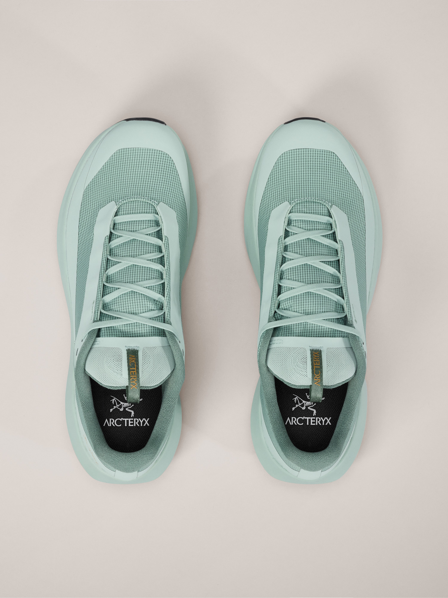 Norvan LD 4 GTX Shoe Men's | Arc'teryx