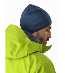 Bird Head Toque | Arc'teryx
