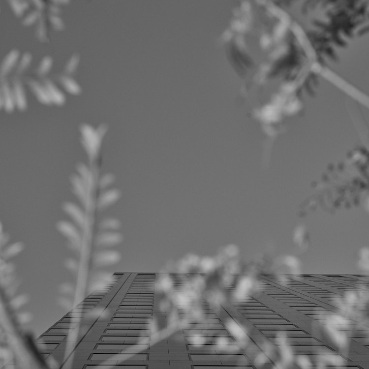 Technical Apparel | Veilance | Arc'teryx